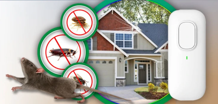 Bye Critter: Safe, Effective Pest Elimination!